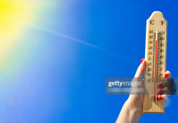 "올해가 역사상 최고 더운 해 될 가능성 95%"